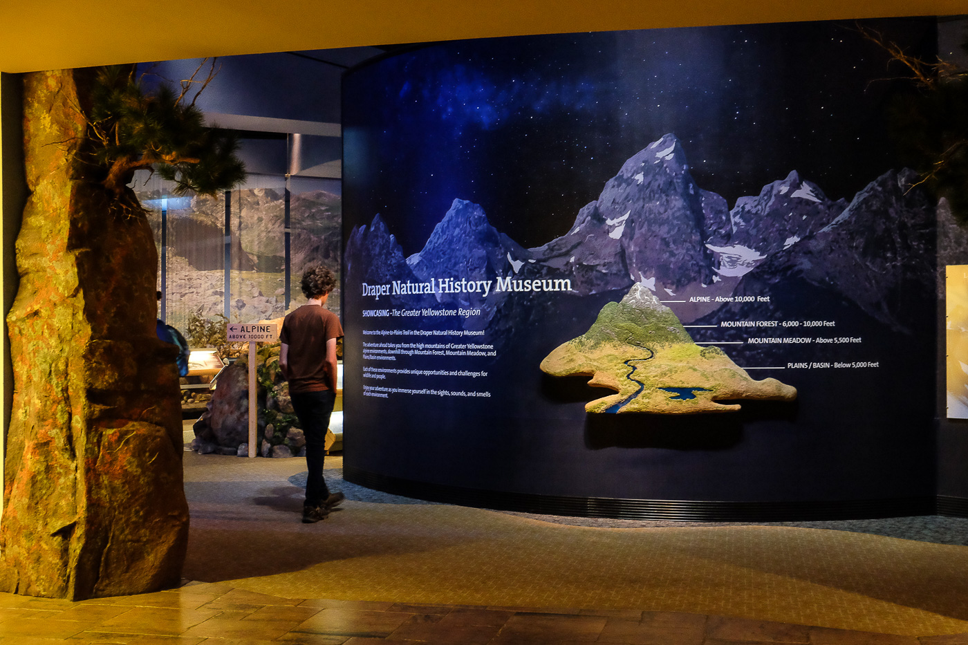 Buffalo Bill Center of the West in Cody, WY: A Shortish Visit with Kids ...