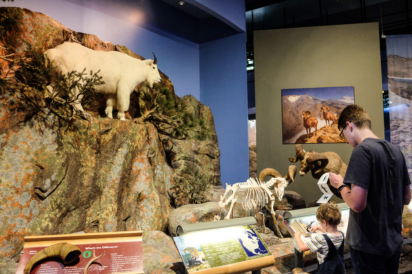 Buffalo Bill Center of the West in Cody, WY: A Shortish Visit with Kids ...