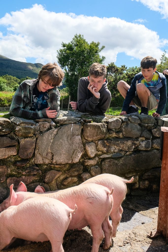 Exploring Killarney National Park with Kids and Teens, Part One: Ruins ...