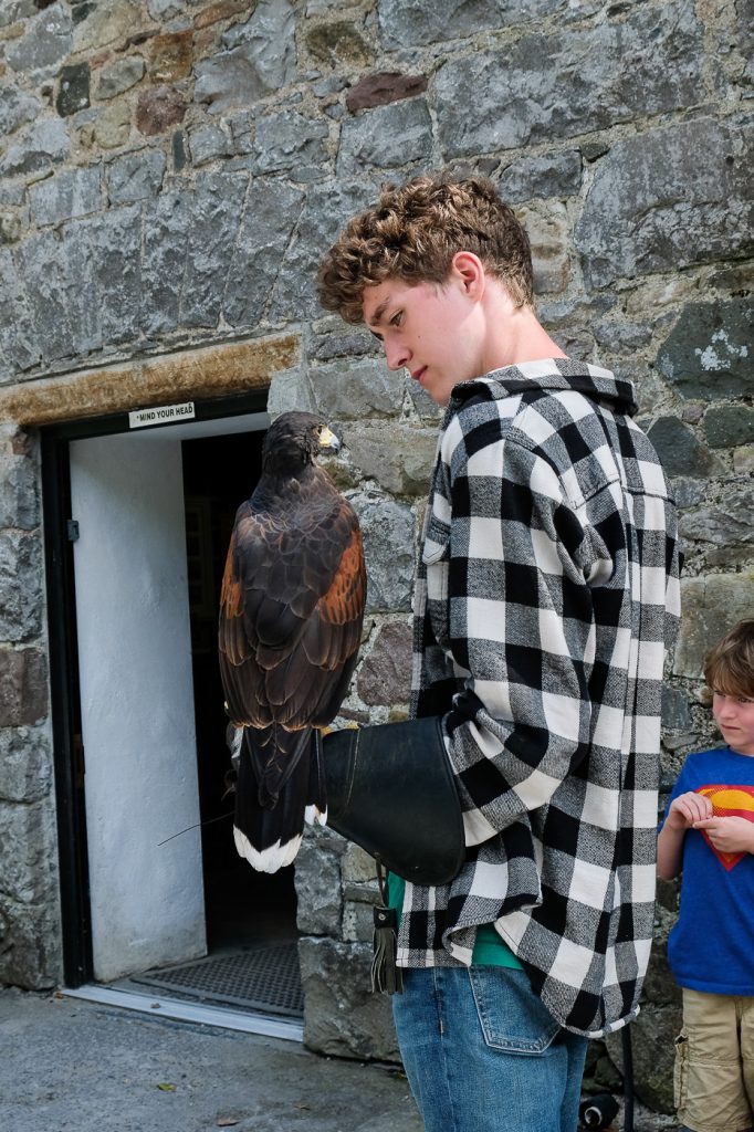 Hawk Walk at Ashford Castle and Inchagoill Island: Our Last Day in ...