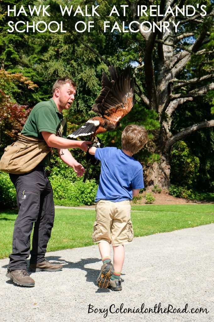 Hawk Walk at Ashford Castle and Inchagoill Island: Our Last Day in ...